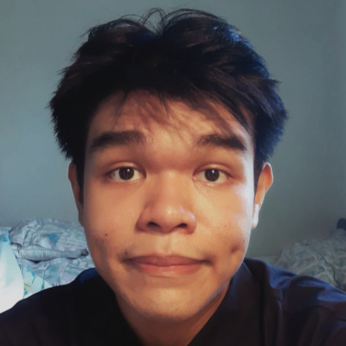 Hoaxford: A Look at Marcos Jr.'s "Achievements"